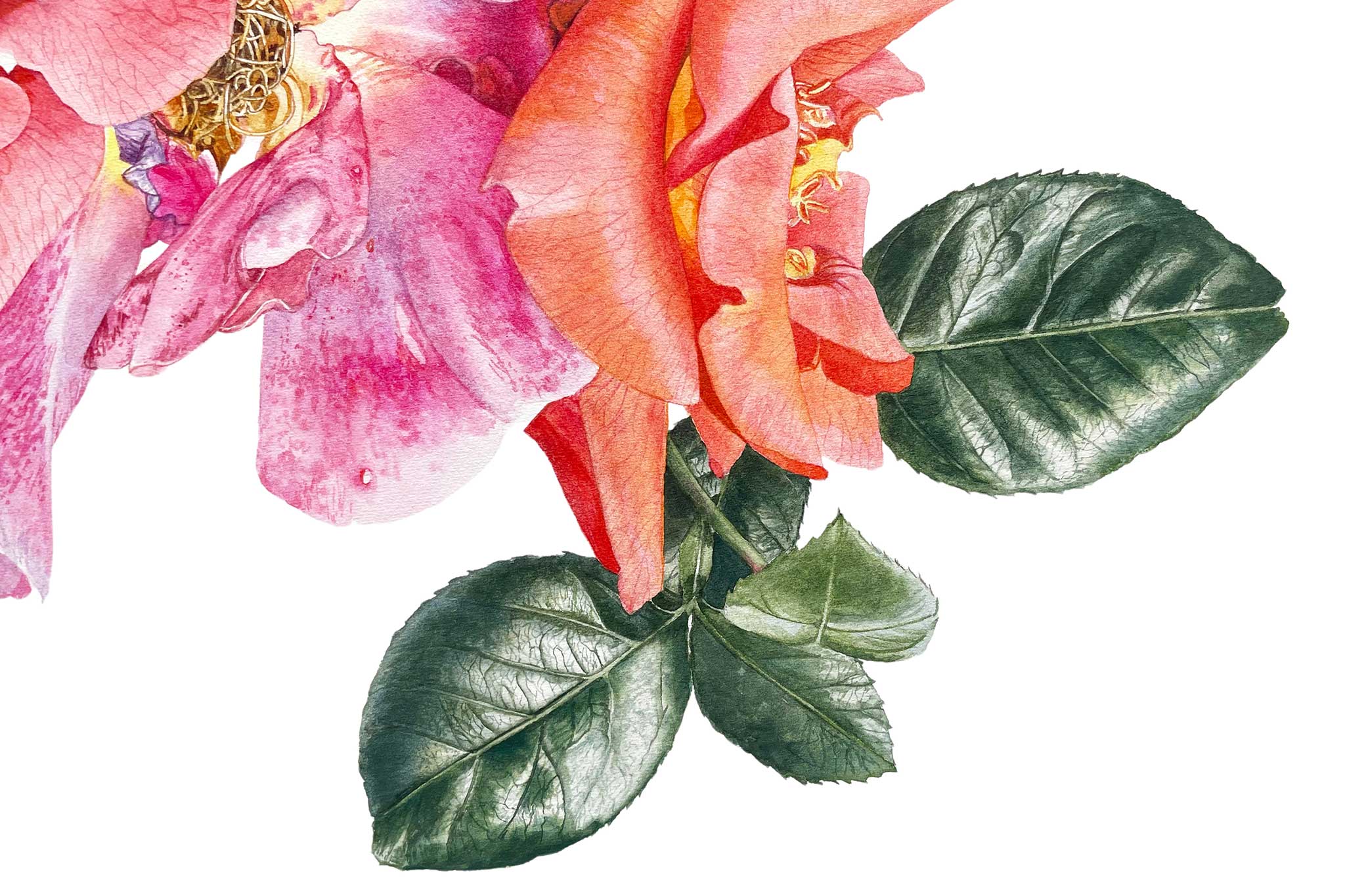 Rose Leaves - Preview - Billy Showell School of Botanical Art