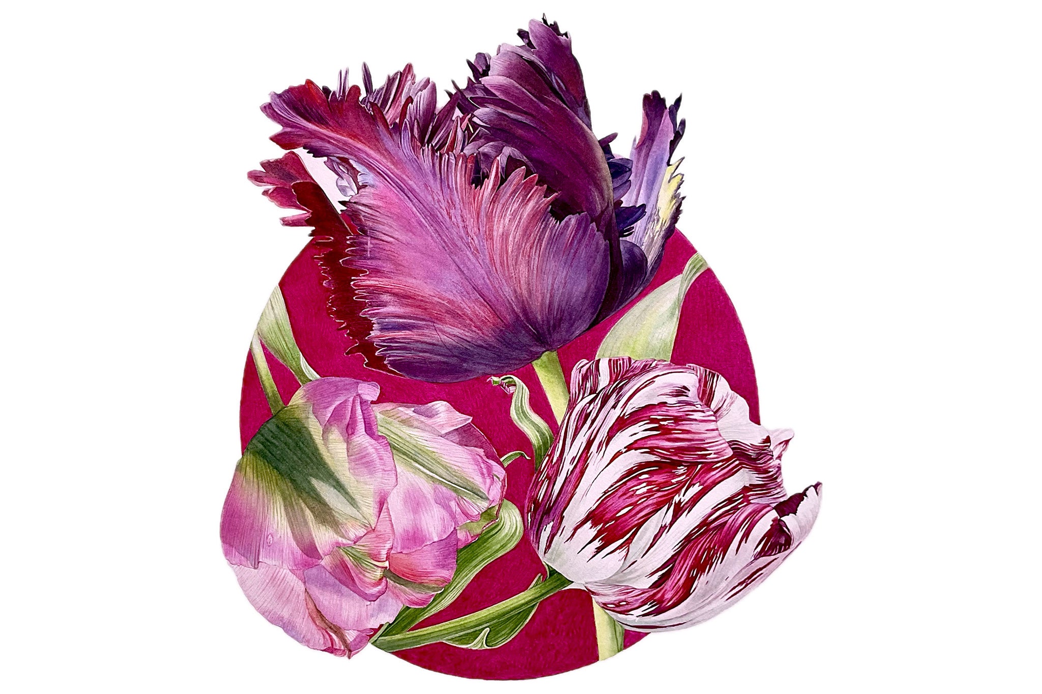 Tulip Circle Part Four : Leaves & Background - Preview - Billy Showell ...